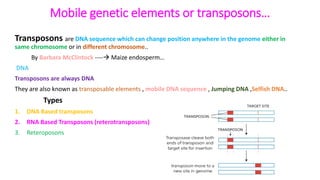 Transposons | PPT