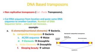 Transposons | PPT