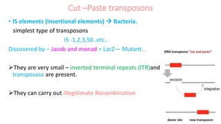 Transposons | PPT