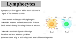 Lec-8-lymphatic-System.containing anatomy and physiology | PDF