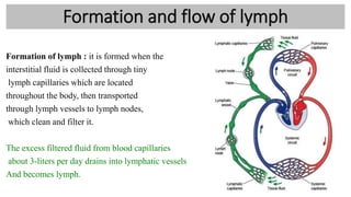 Lec-8-lymphatic-System.containing anatomy and physiology | PDF