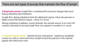 Lec-8-lymphatic-System.containing anatomy and physiology | PDF