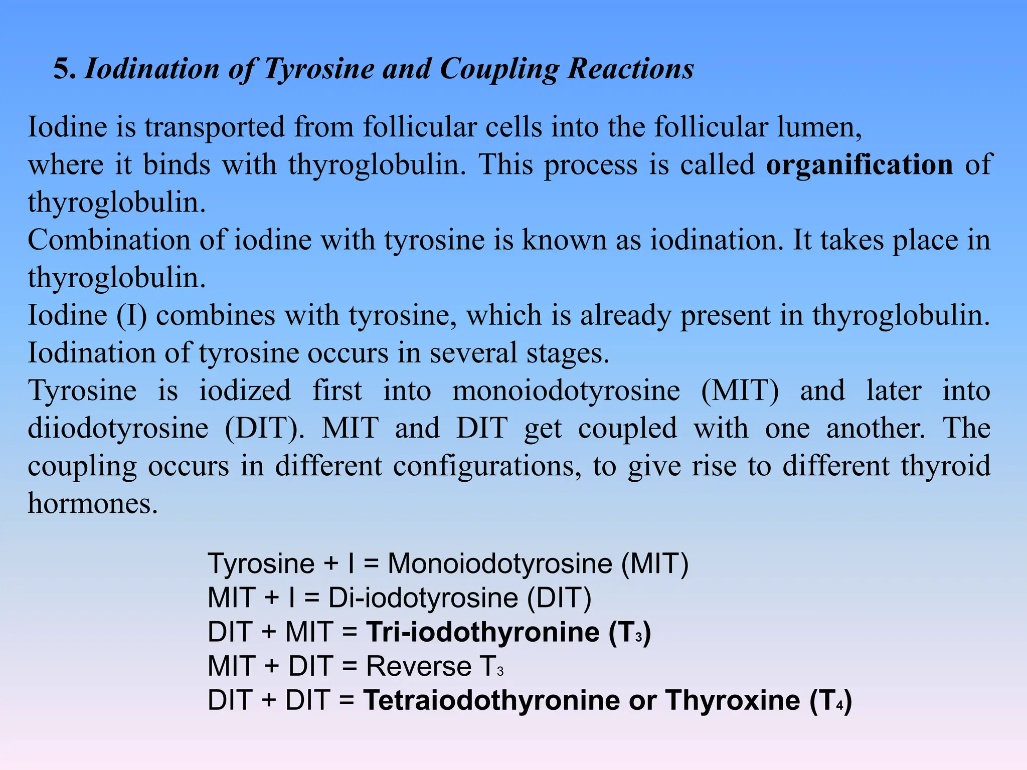 Lec-8 Thyroid Hormones and its usage1.pdf
