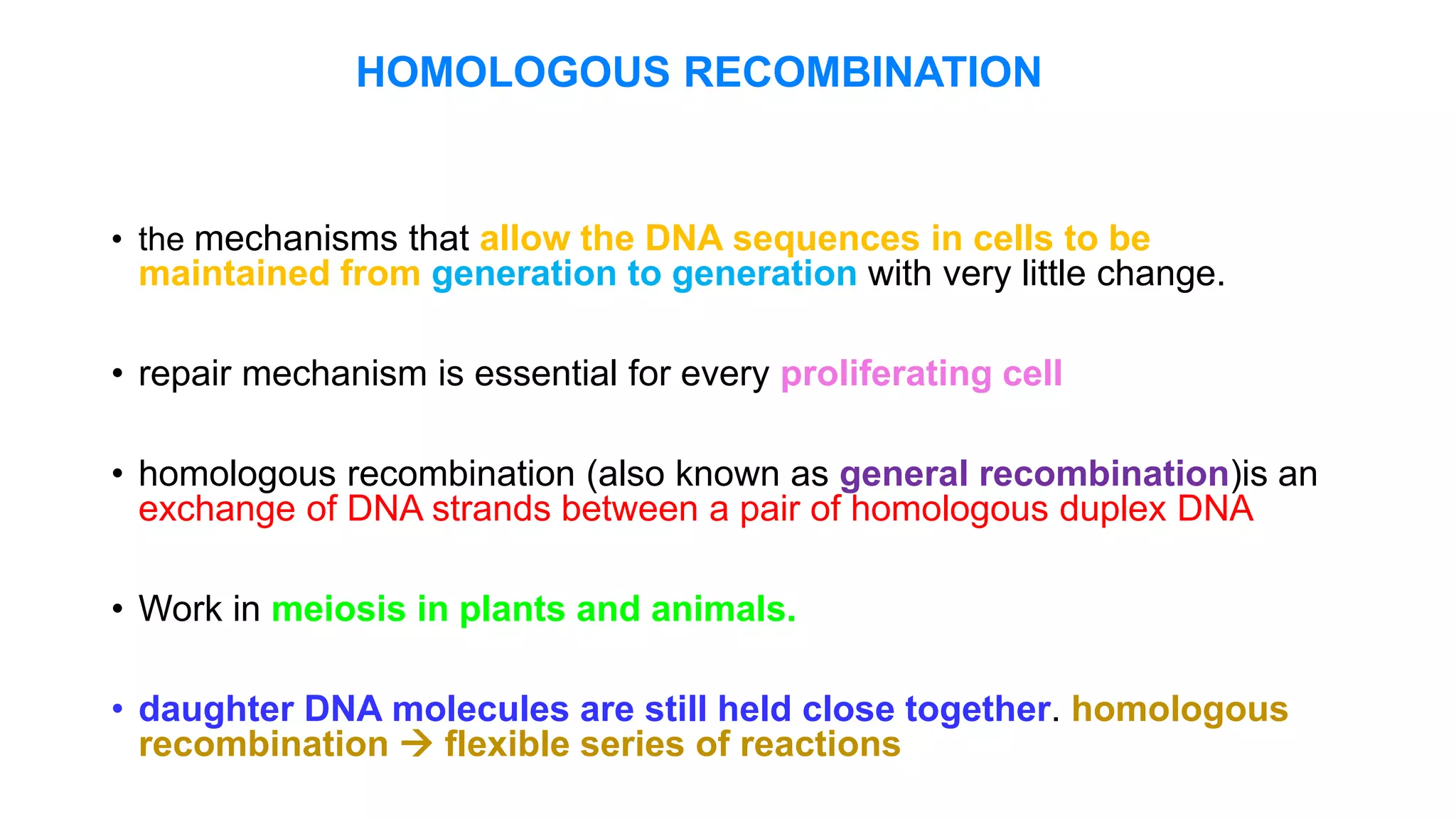 Translession DNA Synthesis | PPTX