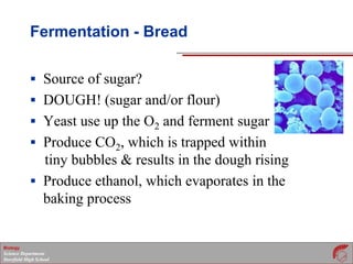LEC-Cellular_Respiration (lower section1).ppt