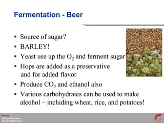 LEC-Cellular_Respiration (lower section1).ppt