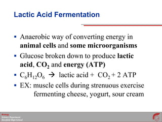 LEC-Cellular_Respiration (lower section1).ppt