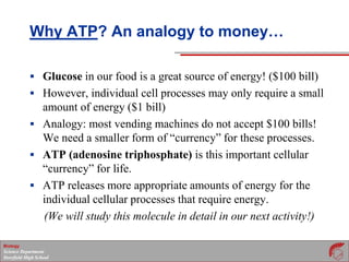 LEC-Cellular_Respiration (lower section1).ppt