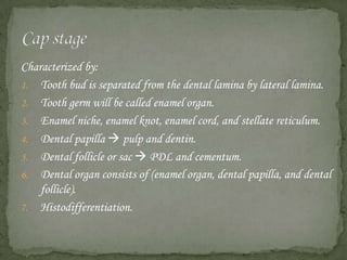 tooth development | PPTX