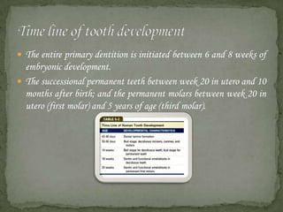 tooth development | PPTX