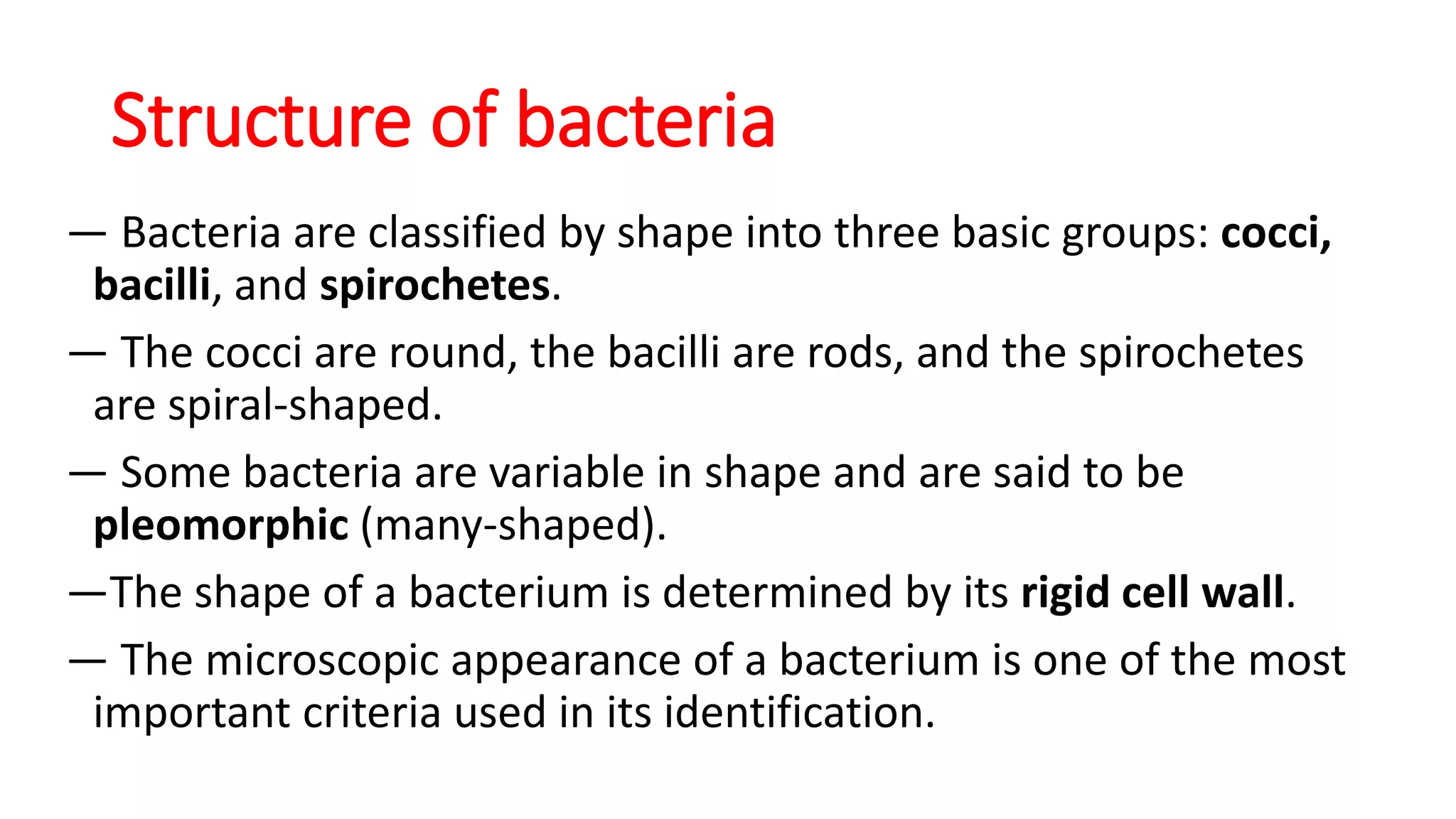 Lec 01. introduction to microbiology | PDF