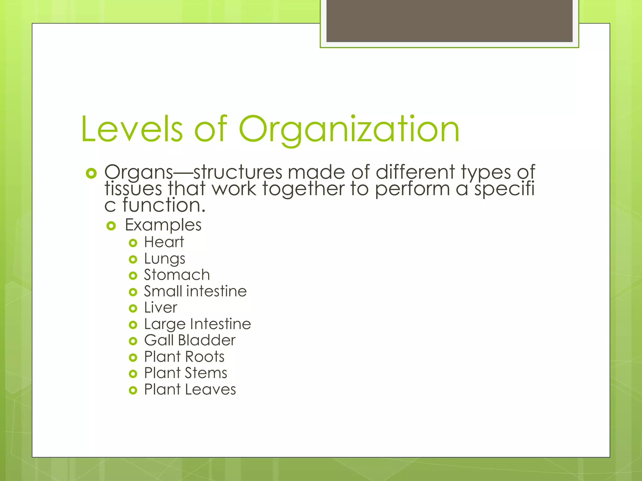 Anatomy Lecture 1 ....CELL to ORGANISM | PPT