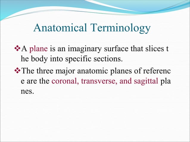 Lec 02 -_Introduction_of_Anatomical_Terminologies | PPT