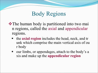 Lec 02 -_Introduction_of_Anatomical_Terminologies | PPT