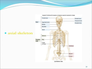 Lec 02 -_Introduction_of_Anatomical_Terminologies | PPT