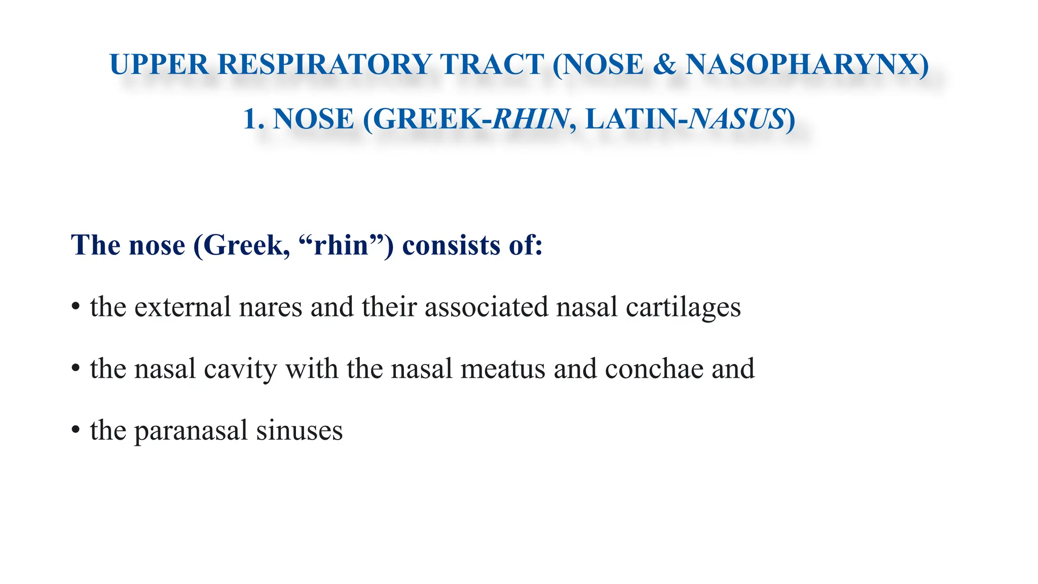 (LEC= 01 )Anatomy of Respiratory system.pptx