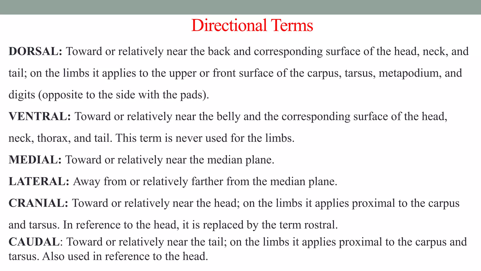 LEC # 01 Introduction to Anatomy, Terminology.pdf