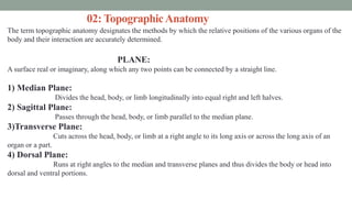 LEC # 01 Introduction to Anatomy, Terminology.pdf
