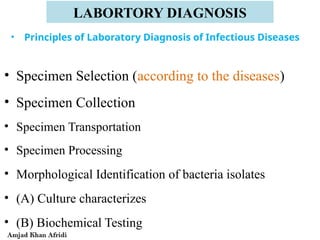 Introduction to Clinical Bacteriology | PPTX