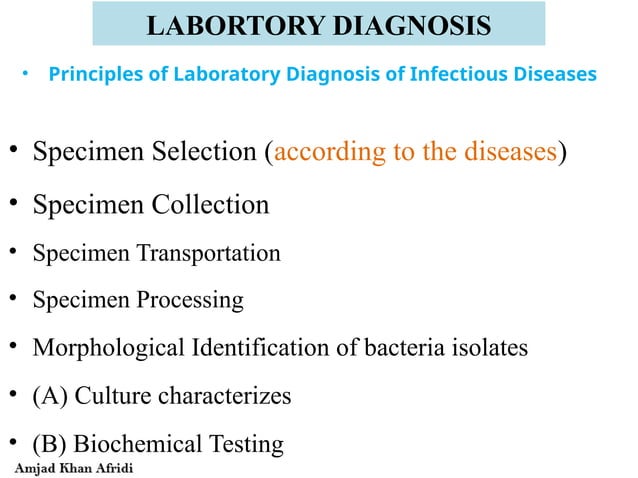 Introduction to Clinical Bacteriology | PPTX | Infectious Diseases ...