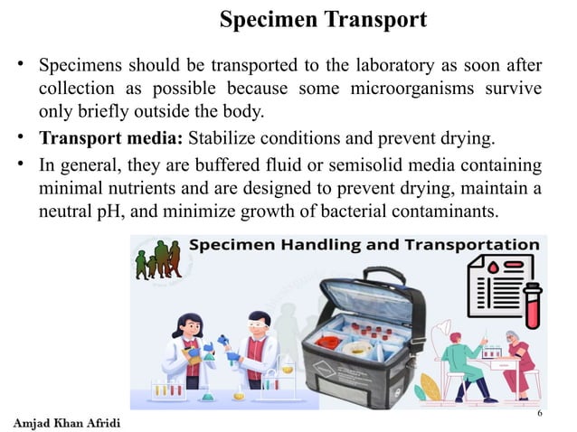 Introduction to Clinical Bacteriology | PPTX | Infectious Diseases | Diseases and Conditions