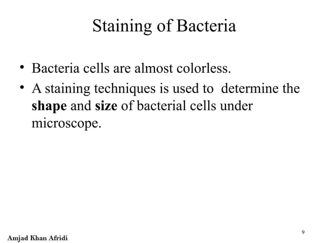 Introduction to Clinical Bacteriology | PPTX | Infectious Diseases | Diseases and Conditions