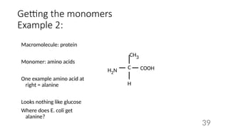 Lecture 2: Finish functional groups. Acids and bases. Lipids. | PPTX