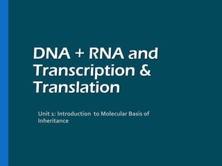 DNA and RNA Transcription and Translation | PPT