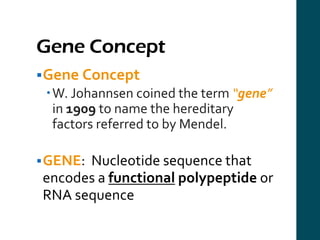 DNA and RNA Transcription and Translation | PDF