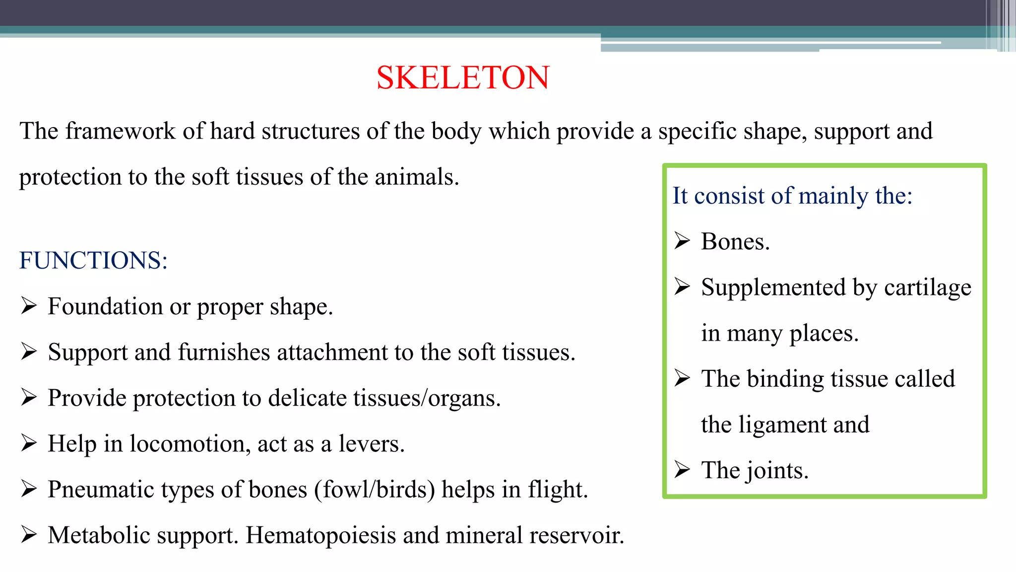 LEC # 02 Skeleton.pdf