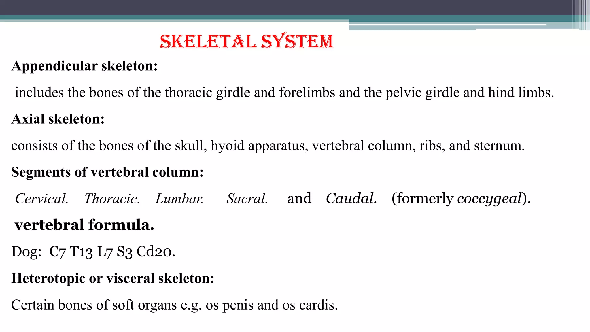 LEC # 02 Skeleton.pdf