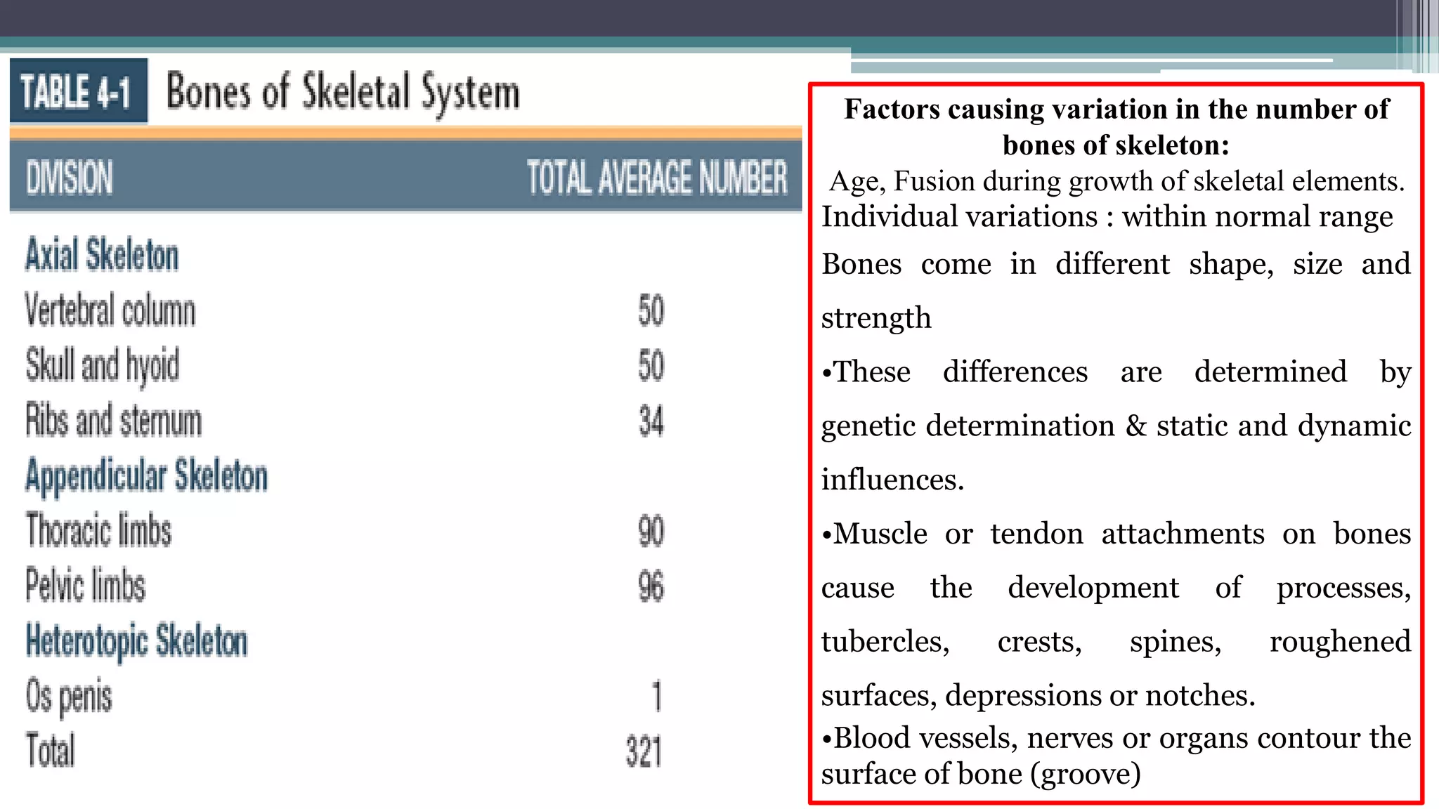 LEC # 02 Skeleton.pdf