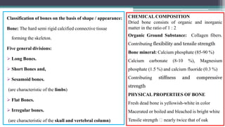 LEC # 02 Skeleton.pdf