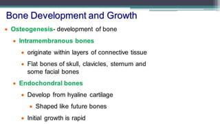 LEC # 02 Skeleton.pdf