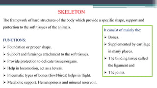 LEC # 02 Skeleton.pdf