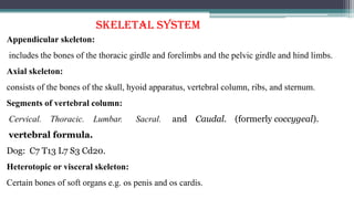 LEC # 02 Skeleton.pdf