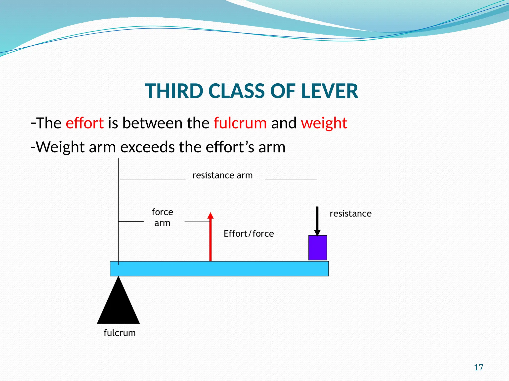 LEC 03. LEVER & PULLEY 569874566(1).pptx