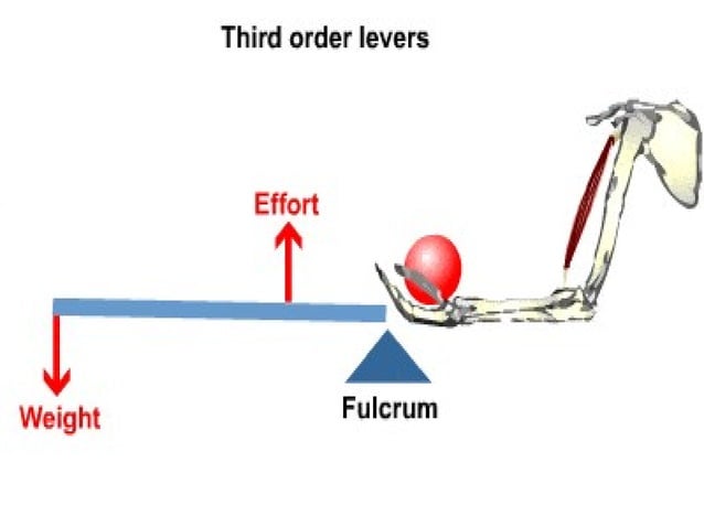 LEC 03. LEVER & PULLEY 569874566(1).pptx