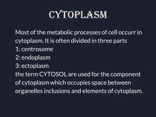 Cell Structure | PDF