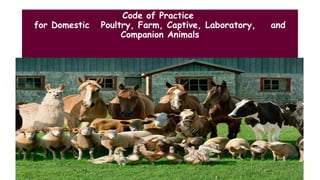 code of practice in the Livestock management.pptx