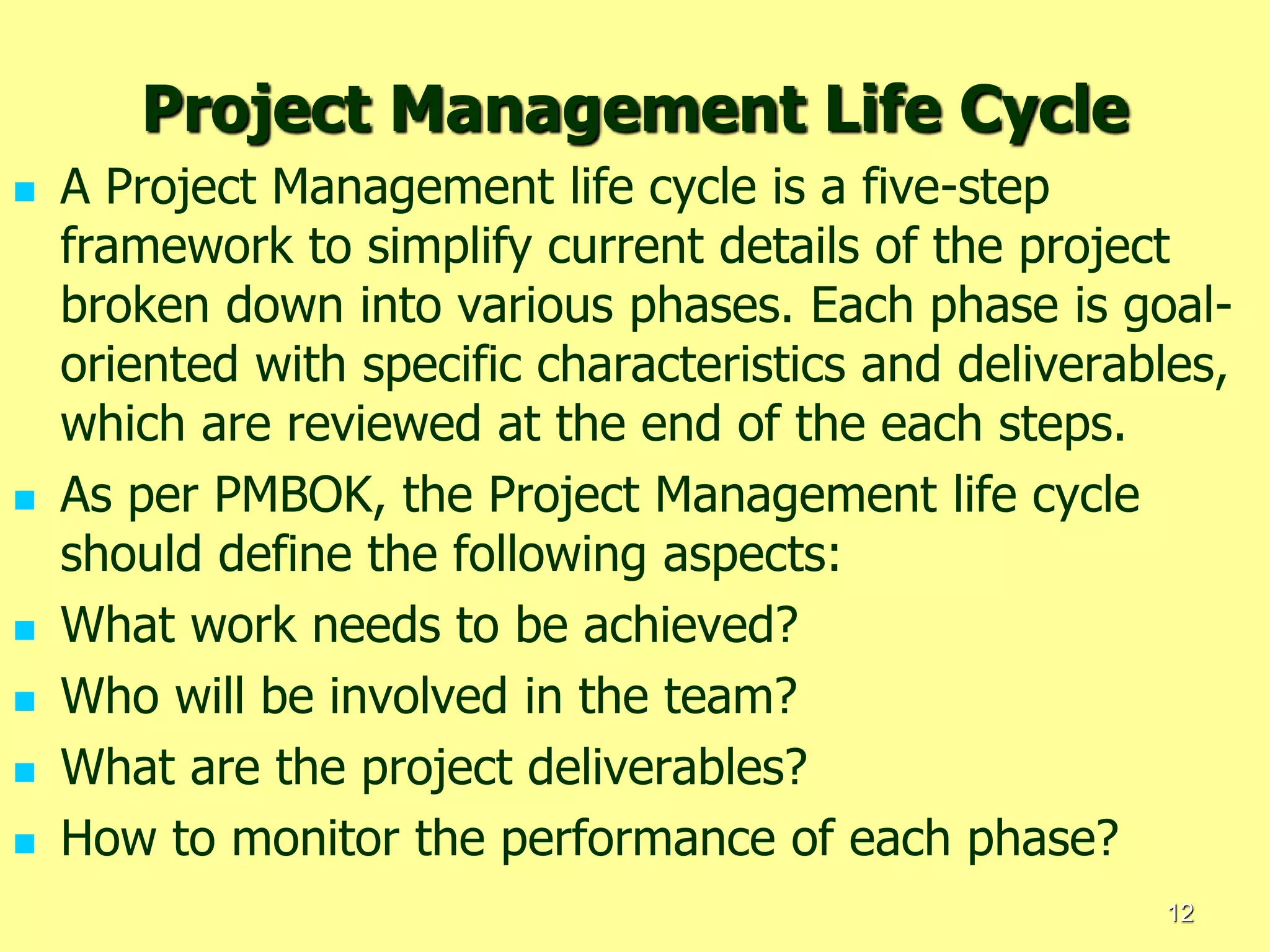 Project Life Cycle.pptx