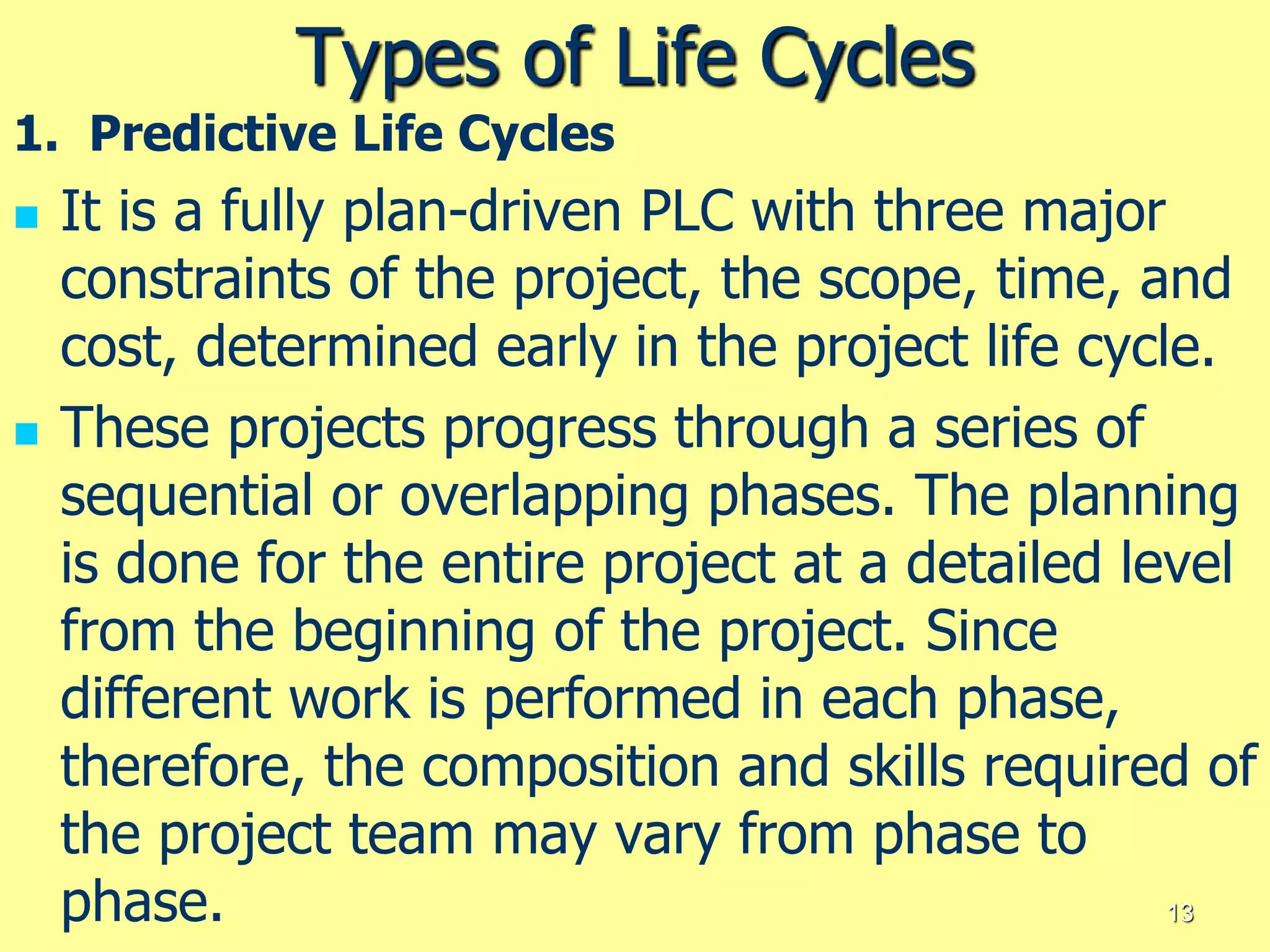 Project Life Cycle.pptx