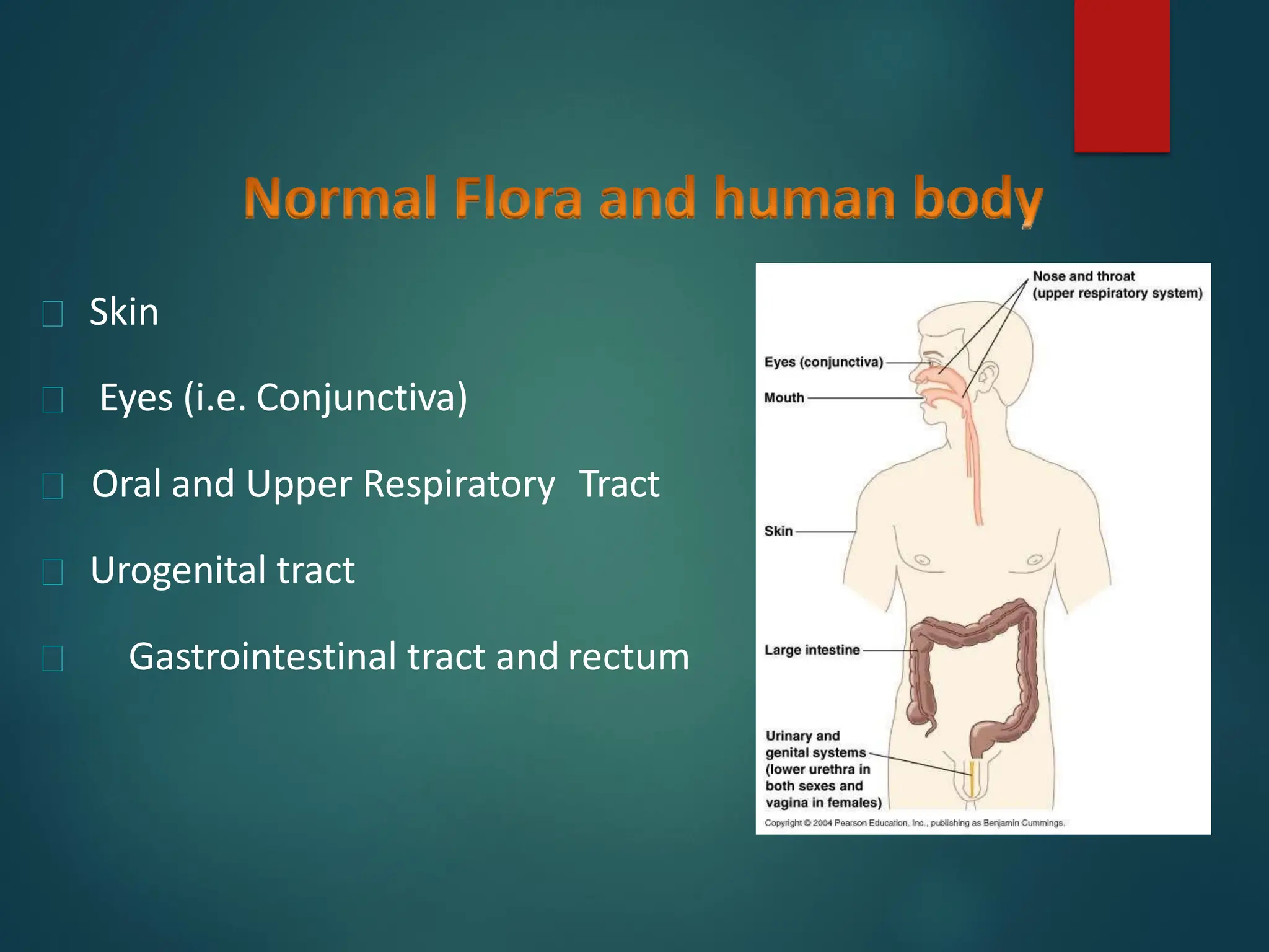 Role and Importance of Normal flora in Different Parts of Body | PDF
