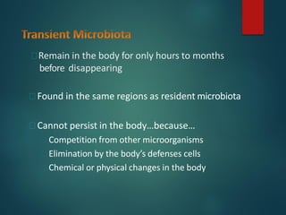 Role and Importance of Normal flora in Different Parts of Body | PDF