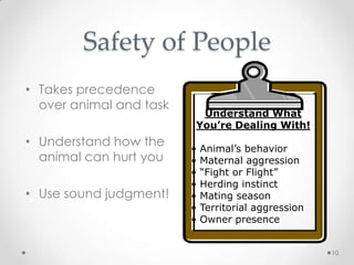 Lec 03 Safety | PPTX