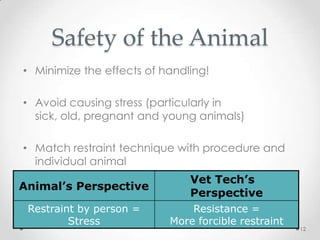 Lec 03 Safety | PPTX | Injuries | Diseases and Conditions