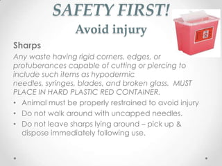 Lec 03 Safety | PPTX | Injuries | Diseases and Conditions