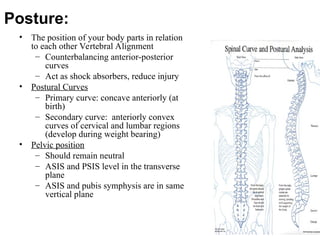 LEC 04.POSTURE of several aspect of the kine.ppt