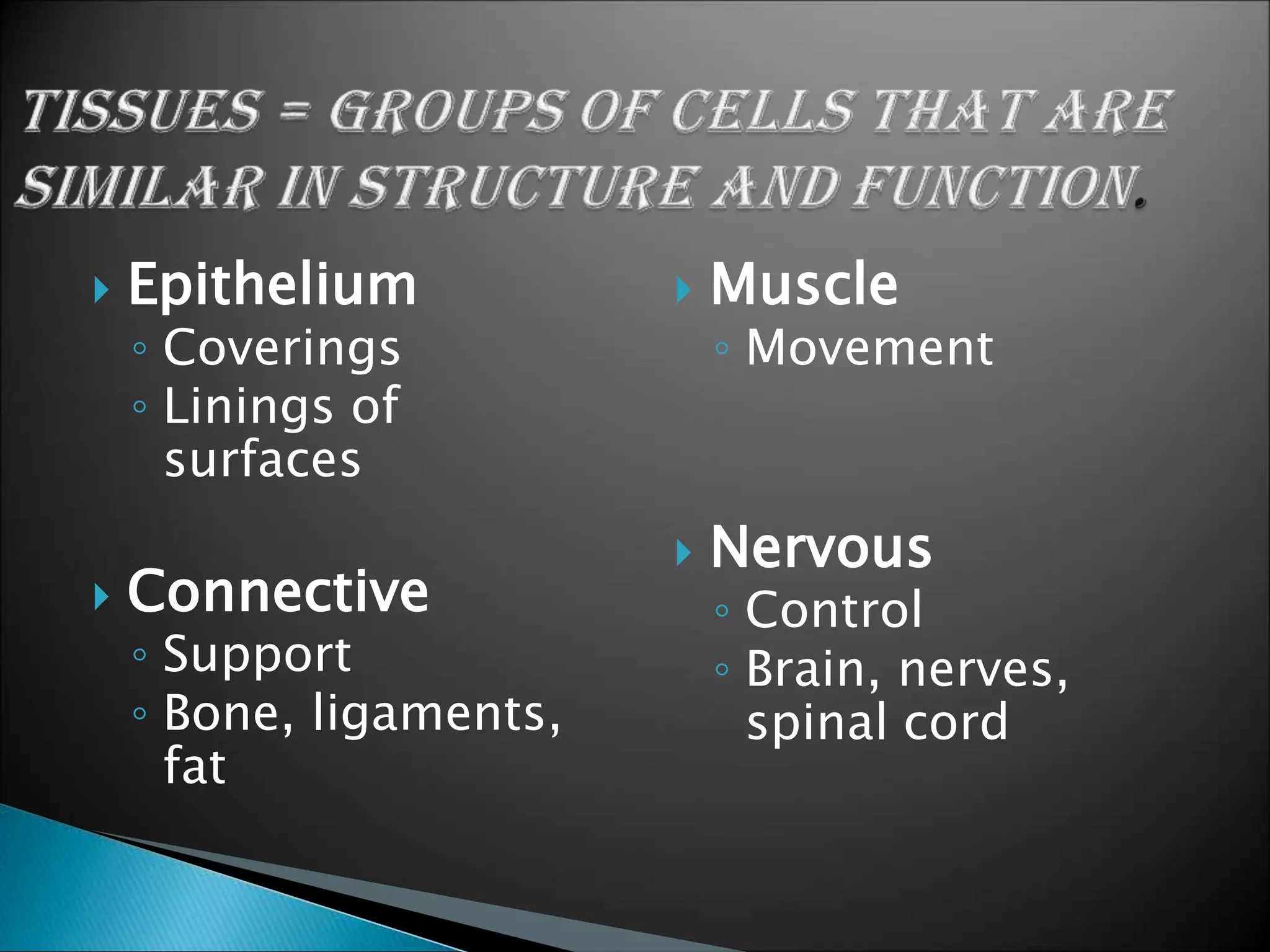 Epithelial Tissue Lecture 3 | PDF