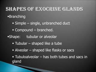 LECTURE 4 Epithelial Tissue | PPT